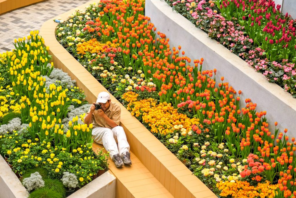 #ปักหมุดแลนด์มาร์กใหม่ล่าสุด #เข้าชมฟรี พาทุกคนมาสัมผัสความสวยงามของ ...