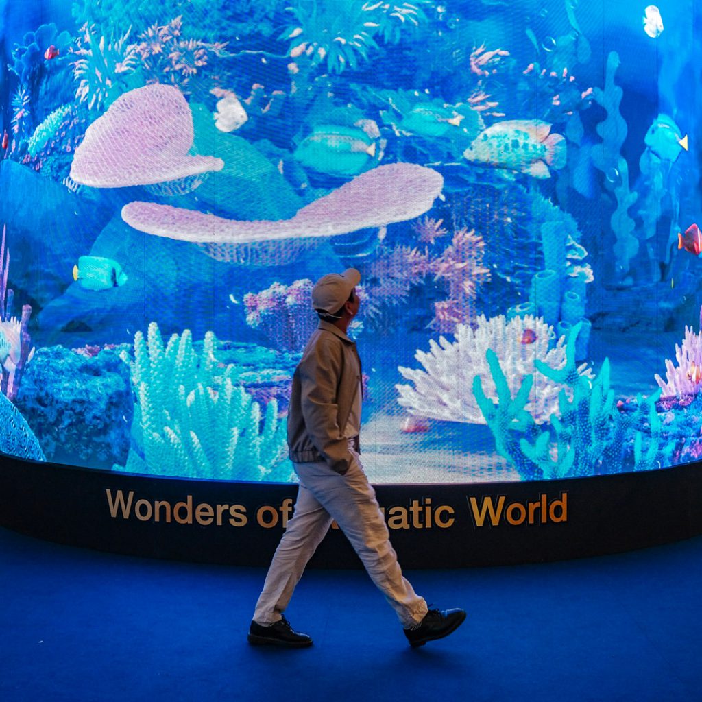 Wonders of the Aquatic World มหัศจรรย์โลกใต้น้ำที่กลับมาอีกครั้ง กับ ...