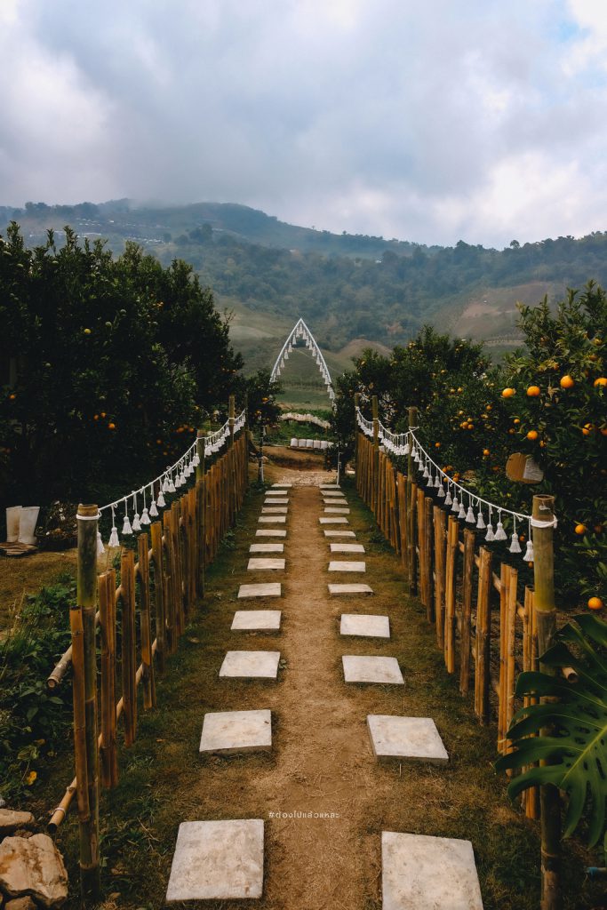 สัมผัสบรรยากาศเดินชิล ชิมส้มสดๆ จากต้น JINJU the orange farm สวนส้มแนว ...