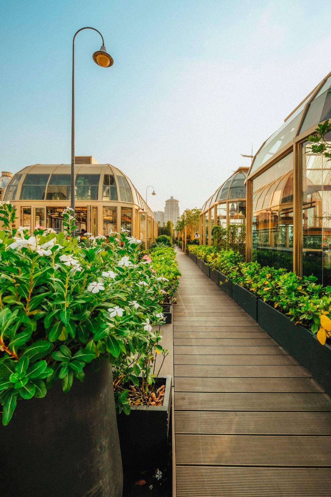 London Vibe ดินเนอร์สุดหรูหรา เสน่ห์ในมุมมองใหม่ของ Glass house ริม ...