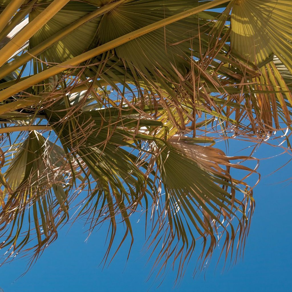 Luca Beach Club คาเฟ่สุดปัง ในบรรยากาศสุดชิลสไตล์บาหลี จัดจ้านย่านสิชล ...