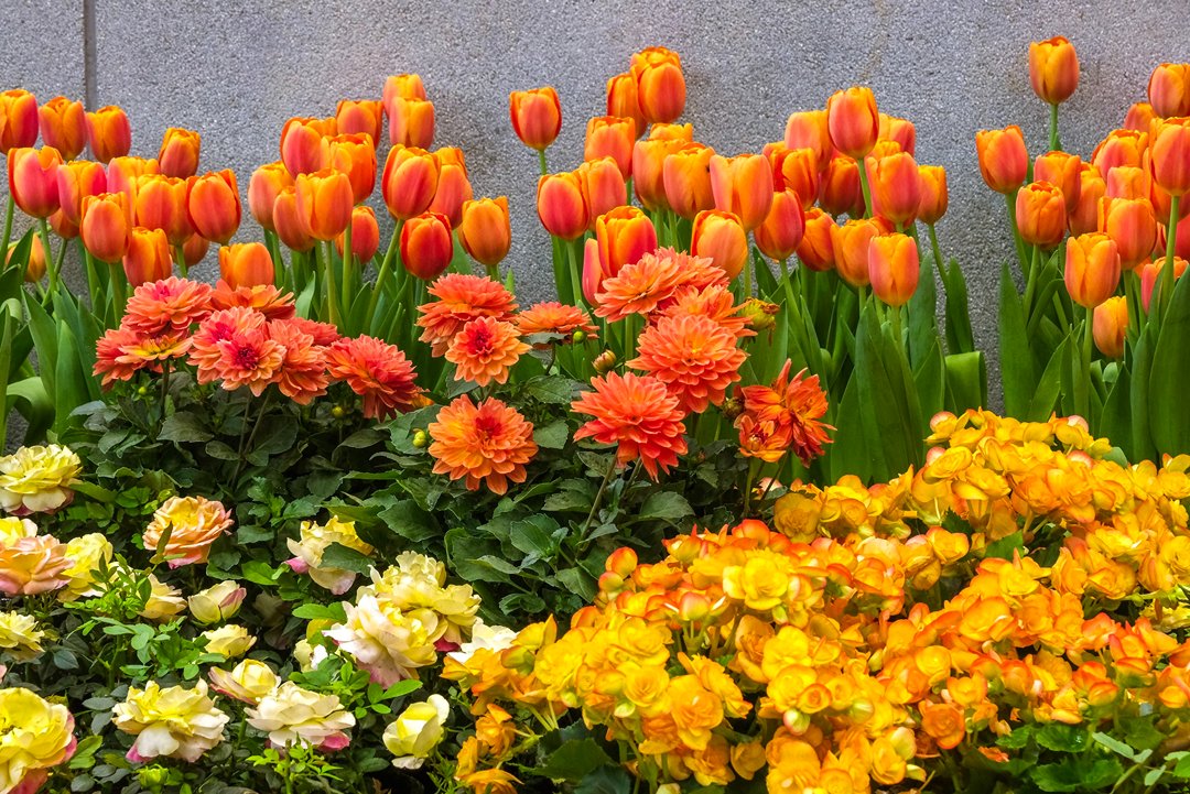 #ปักหมุดแลนด์มาร์กใหม่ล่าสุด #เข้าชมฟรี พาทุกคนมาสัมผัสความสวยงามของ ...