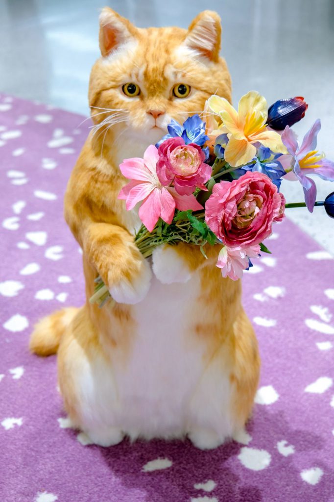 GENTLE MONSTER BOUQUET COLLECTION การผลิบานของจินตนาการ…ที่สะพรั่งอย่าง ...